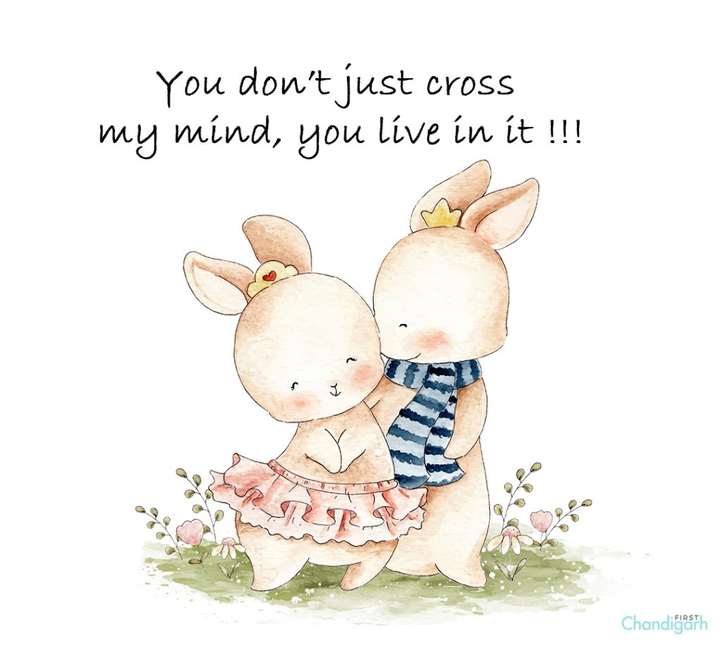 Top Love Fight Quotes with Images- You Must Know!